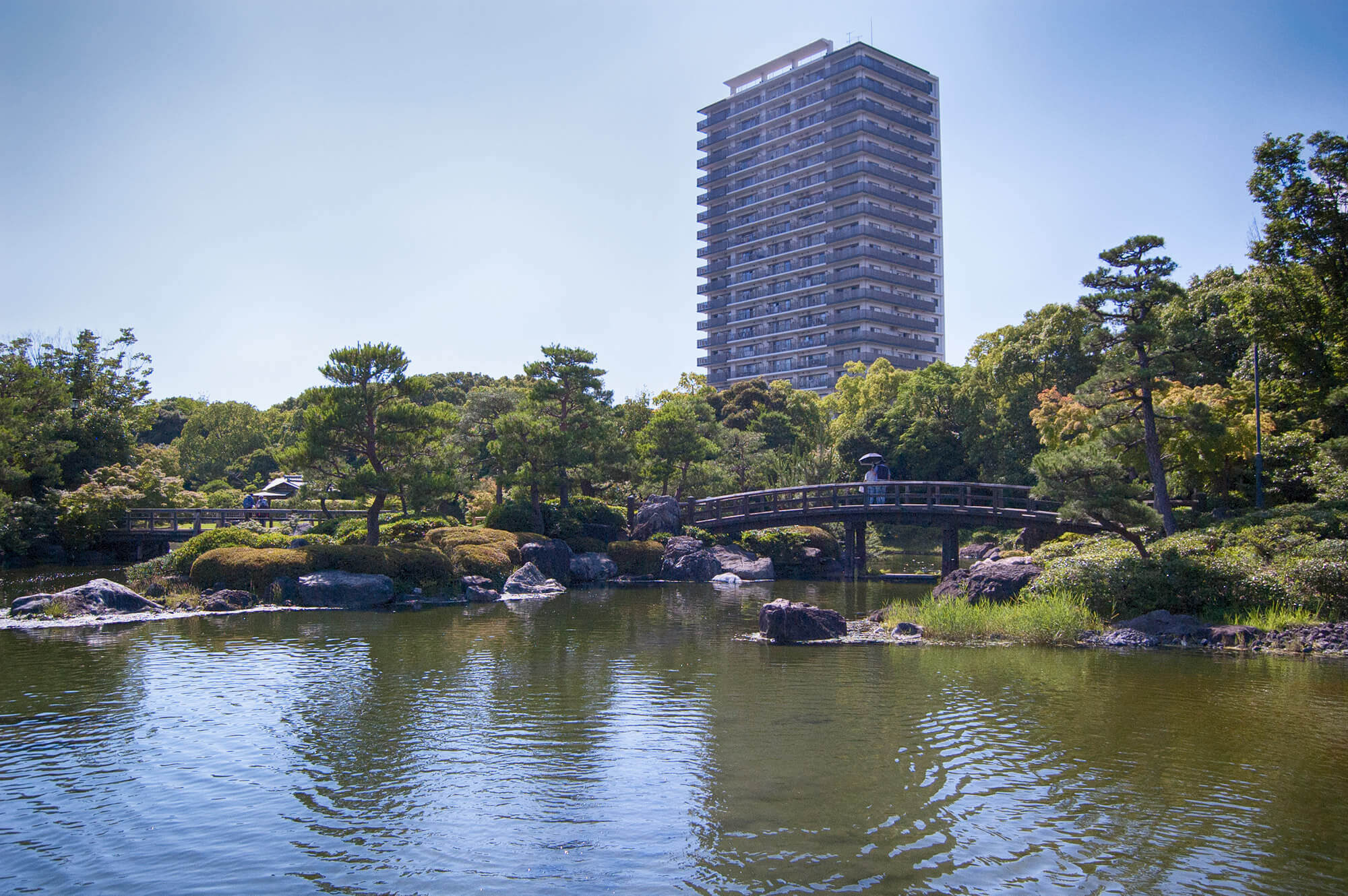 Jardín Shirotori: Una de las maravillas de la jardinería japonesa ...