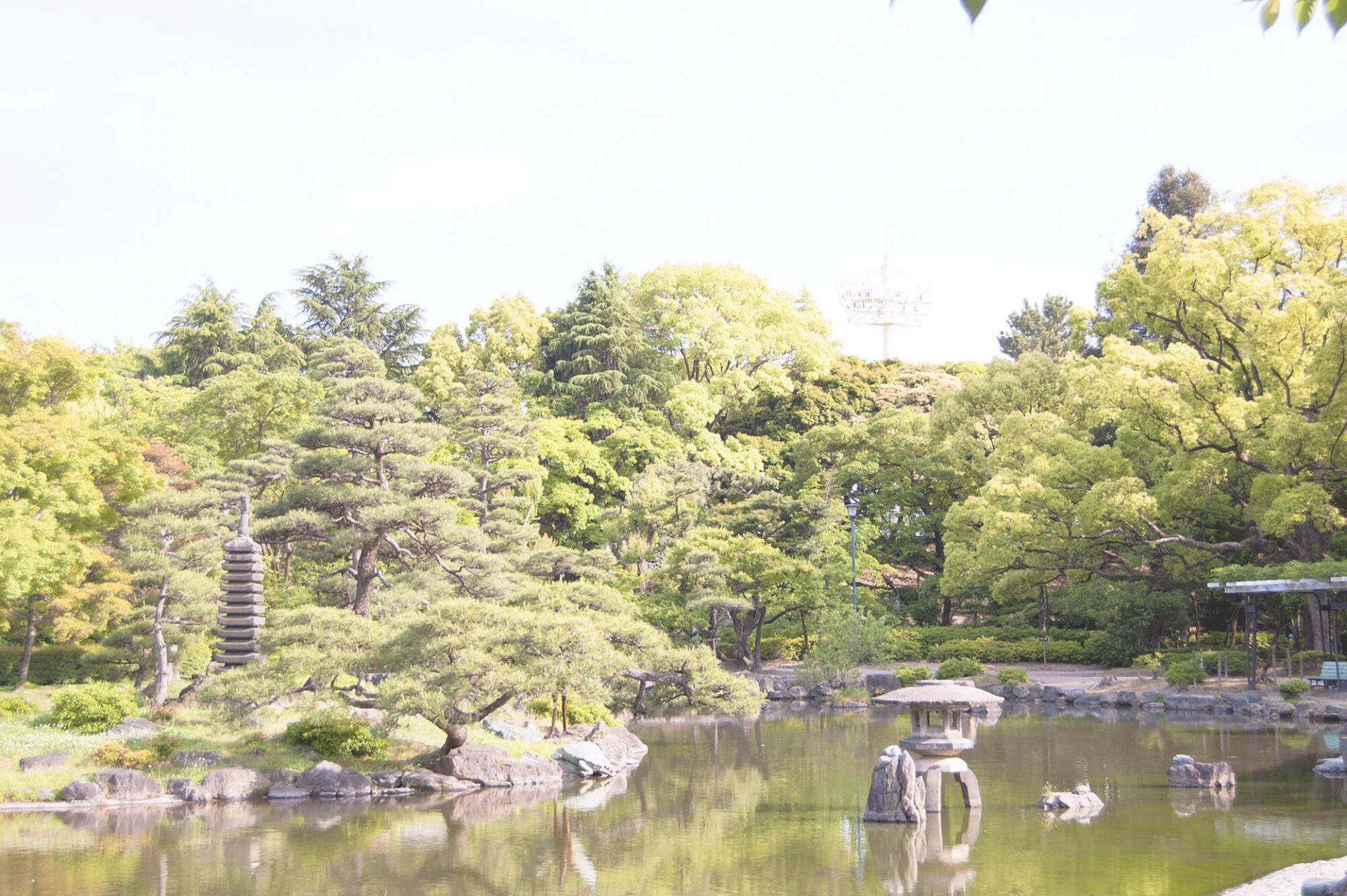 Tsuruma Park: The oldest park of Nagoya - Kawaii Aichi - Travel to ...